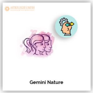 Everything About Gemini Nature